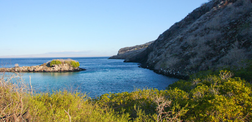 Pinzón Island - Alchetron, The Free Social Encyclopedia