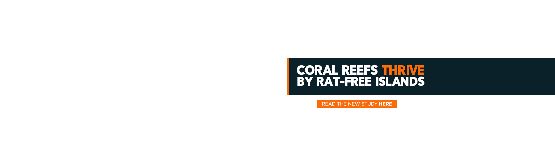 Island Conservation - Preventing Extinctions by removing invasive ...