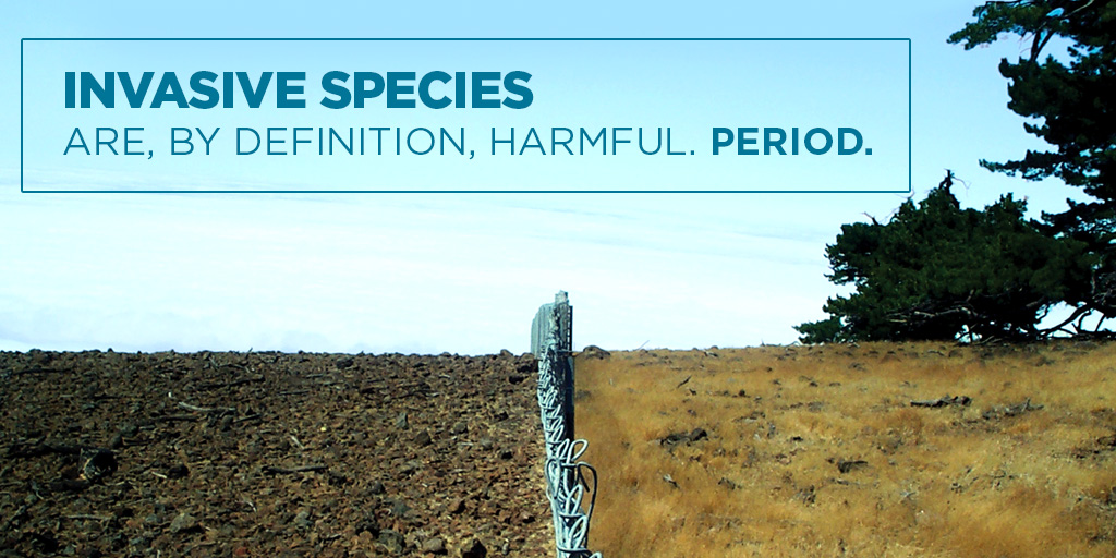 Introduced Species Definition