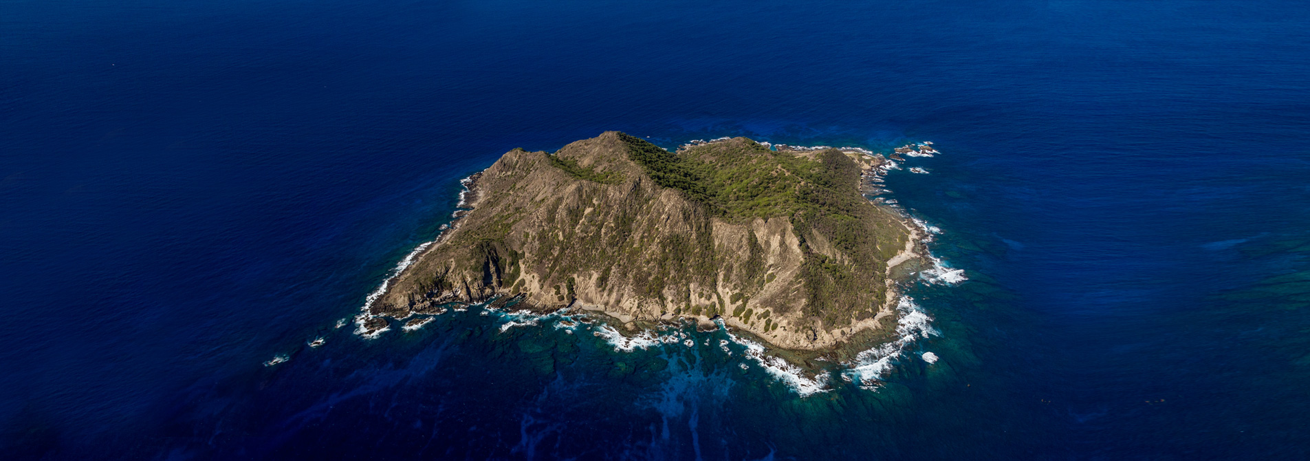 Island Conservation Desecheo Island Restoration Project - Island ...