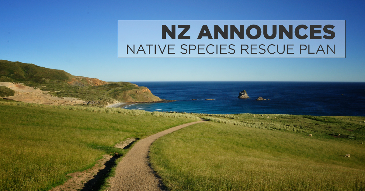 Island Conservation NZ to be Predator-free by 2050 - Island Conservation