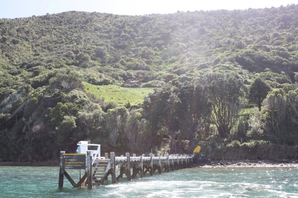Island Conservation Scientific Sanctuary Maud Island, NZ, is Now Pest ...