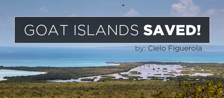 Island Conservation Goat Islands, Important Iguana Habitat SAVED ...