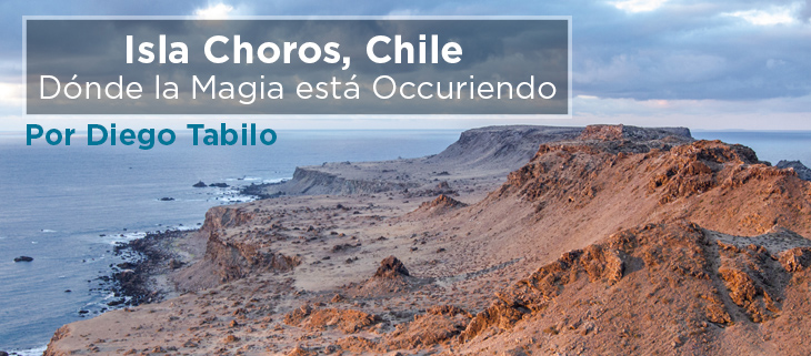 Island Conservation Isla Choros, Chile: Dónde la Magia está Ocurriendo ...