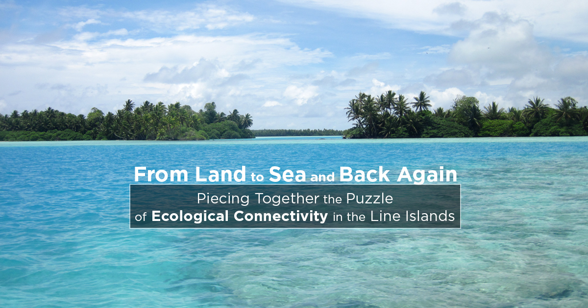 Island Conservation From Land to Sea and Back Again: Piecing Together ...