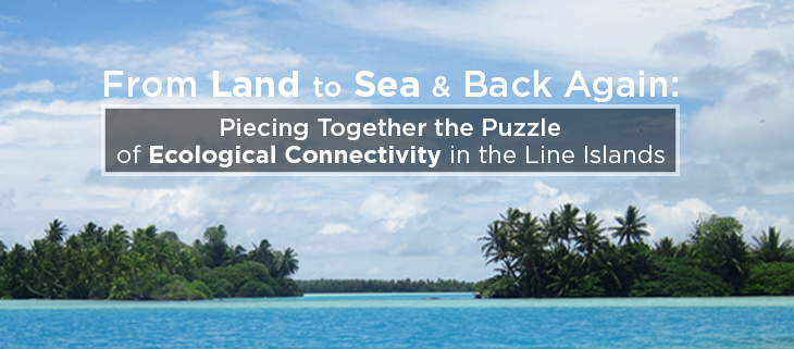 Island Conservation From Land to Sea and Back Again: Piecing Together ...