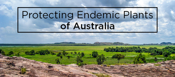 Island Conservation Australia's National Parks Work to Conserve Native ...