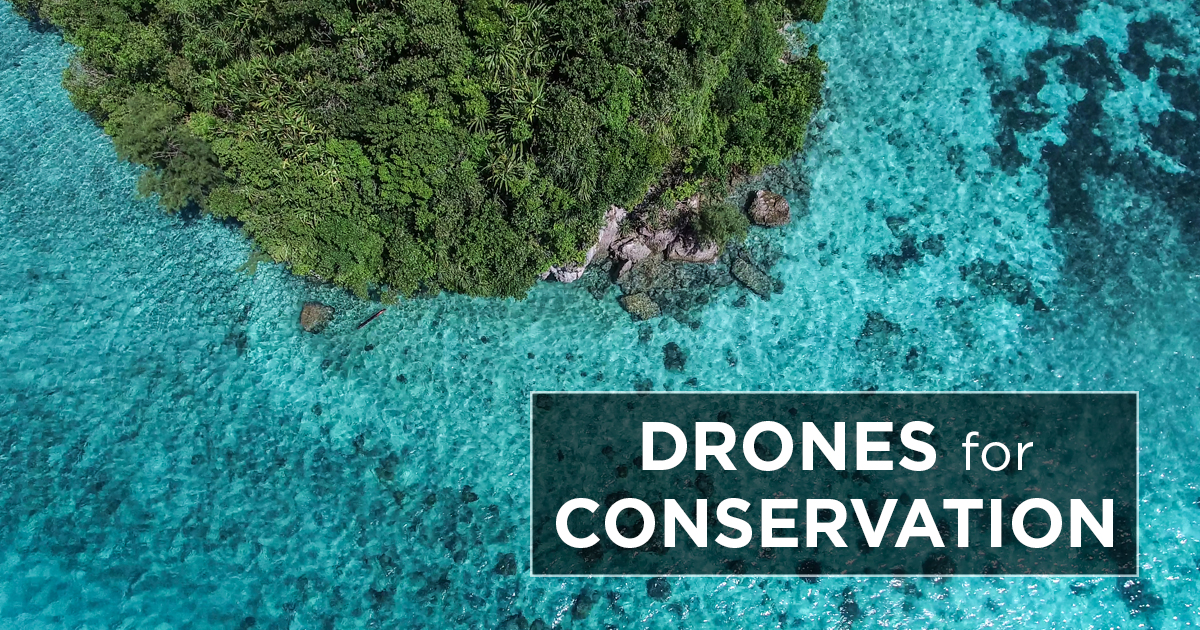 Island Conservation Drones Contribute to Climate Change Science ...