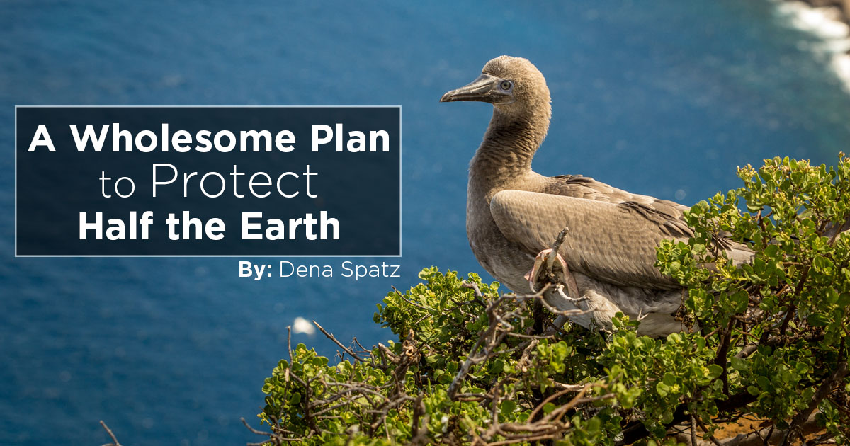 Island Conservation A Wholesome Plan to Protect Half the Earth - Island ...