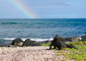 Island Conservation Sciencetelling in The Galápagos - Island Conservation