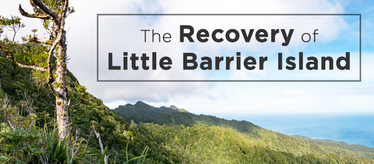 Island Conservation Richard Griffiths Presents: Ecosystem Recovery on ...