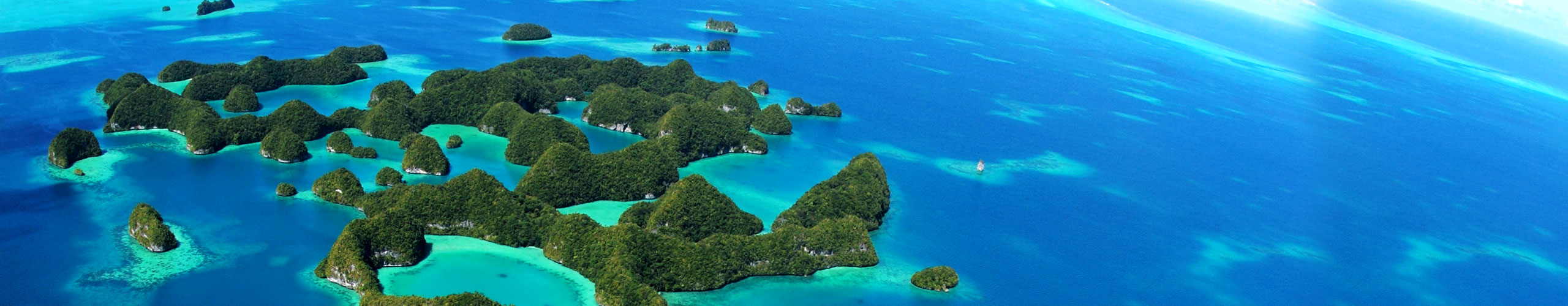 Island Conservation - Preventing Extinctions