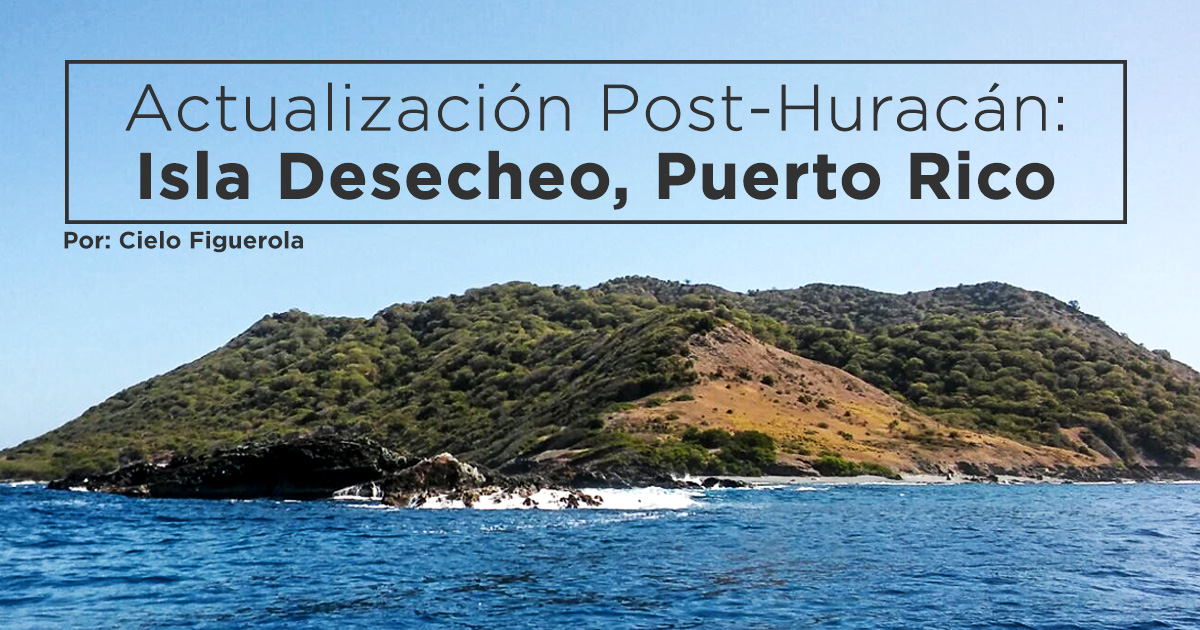 Island Conservation La Isla de Desecheo Puede Seguir Recuperándose ...