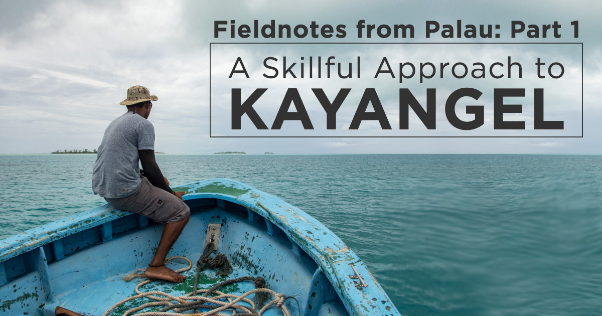Island Conservation A Skillful Approach to Kayangel, Palau - Island ...