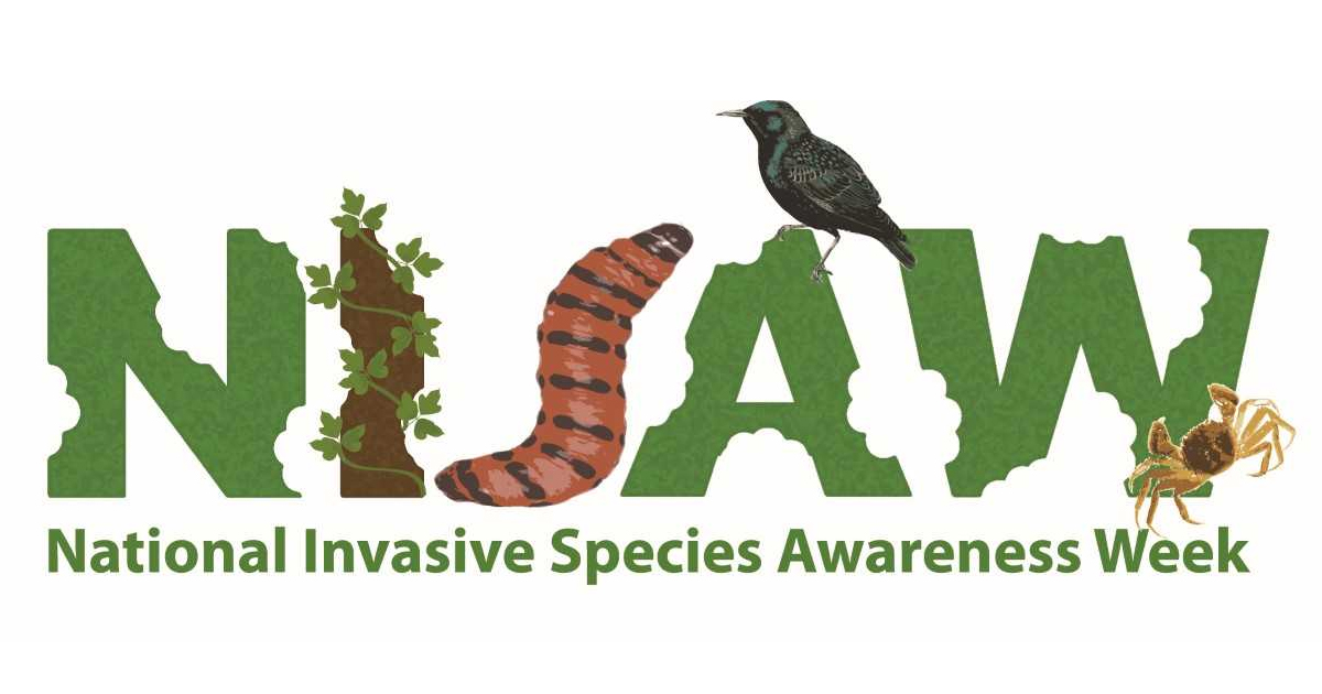 Island Conservation National Invasive Species Awareness Week Kicks Off ...