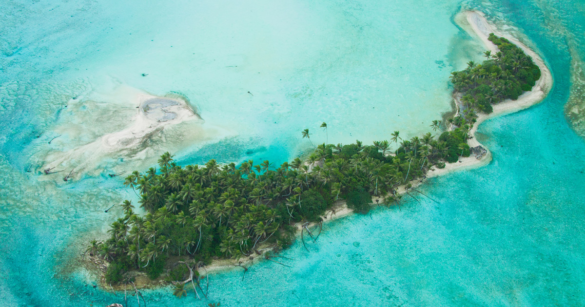 Island Conservation Disappearing Mosquitoes Leave Clues About Basic ...