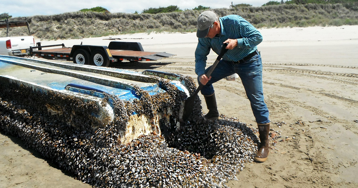 Island Conservation Plastics Create a New Invasive Species Problem ...