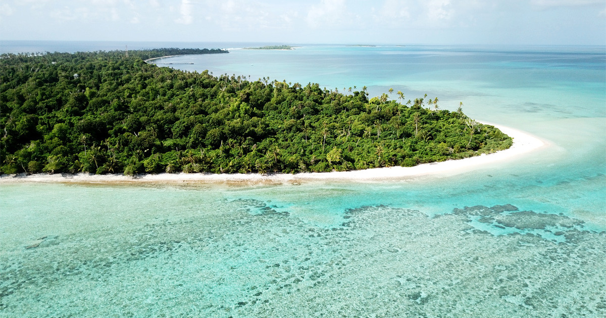 Island Conservation Island Conservation Joins the Global Island ...