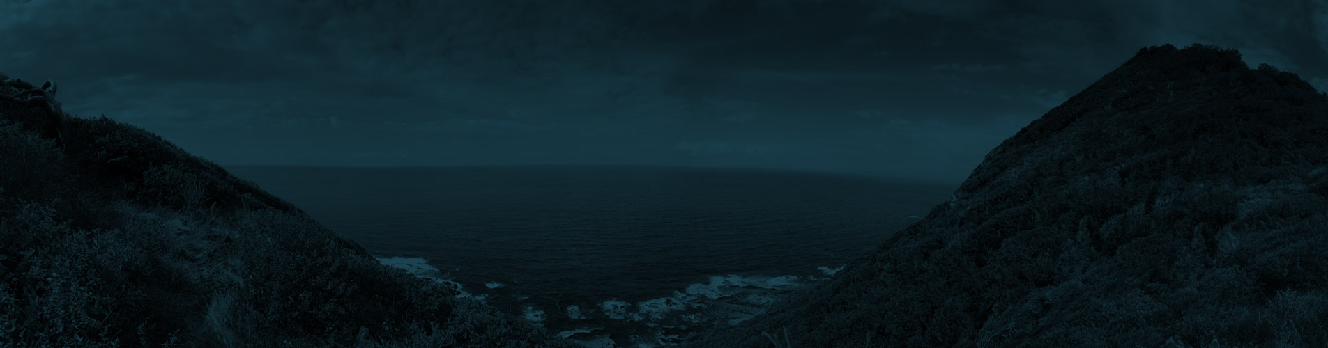 Island Conservation - Preventing Extinctions by removing invasive ...