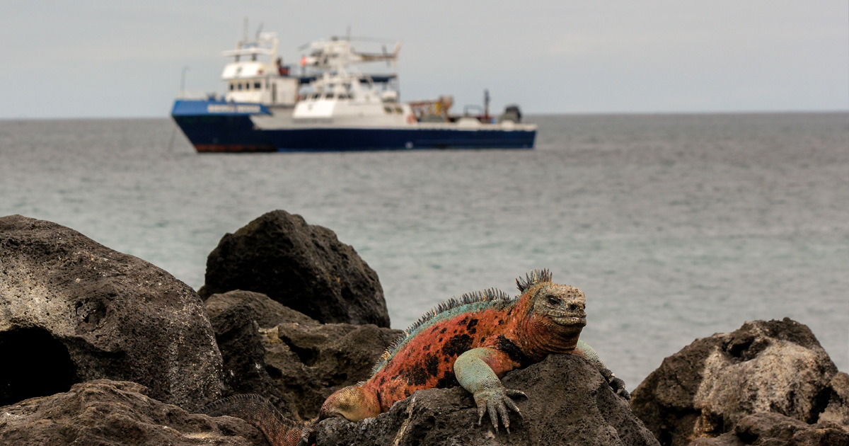 Island Conservation Invasive Marine Species—A Growing Threat in the ...