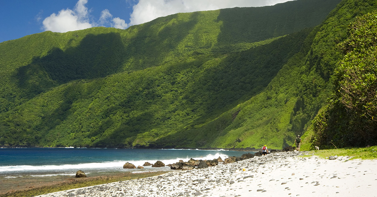 Island Conservation The Invasive Myna Bird: Conservationists to the ...