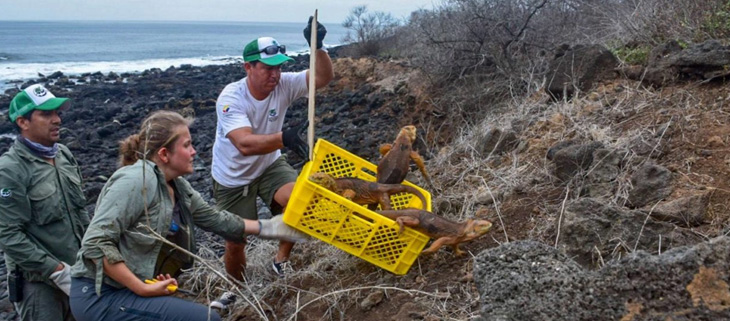 Island Conservation The Nature Conservancy's Cool Green Science ...