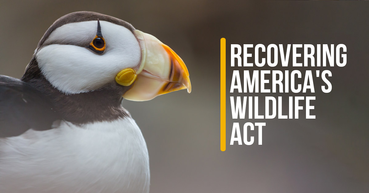 Island Conservation Together we can save more species than ever before ...