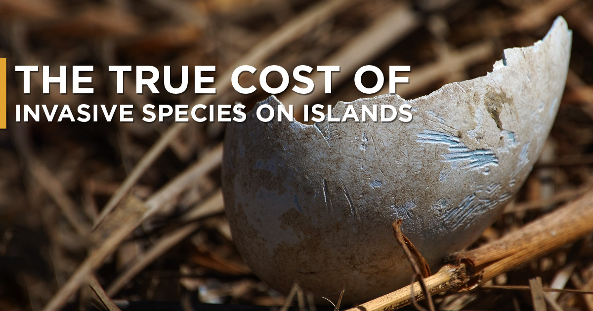 Island Conservation The true cost of invasive species on islands shown ...