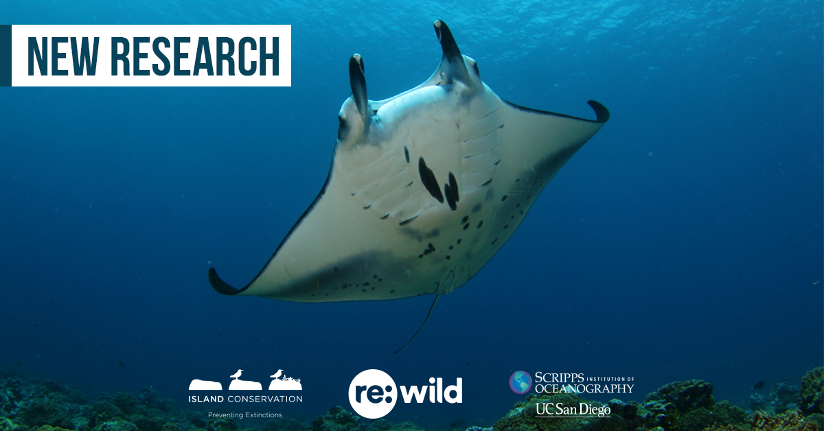 Island Conservation New research co-led by Island Conservation's Penny ...