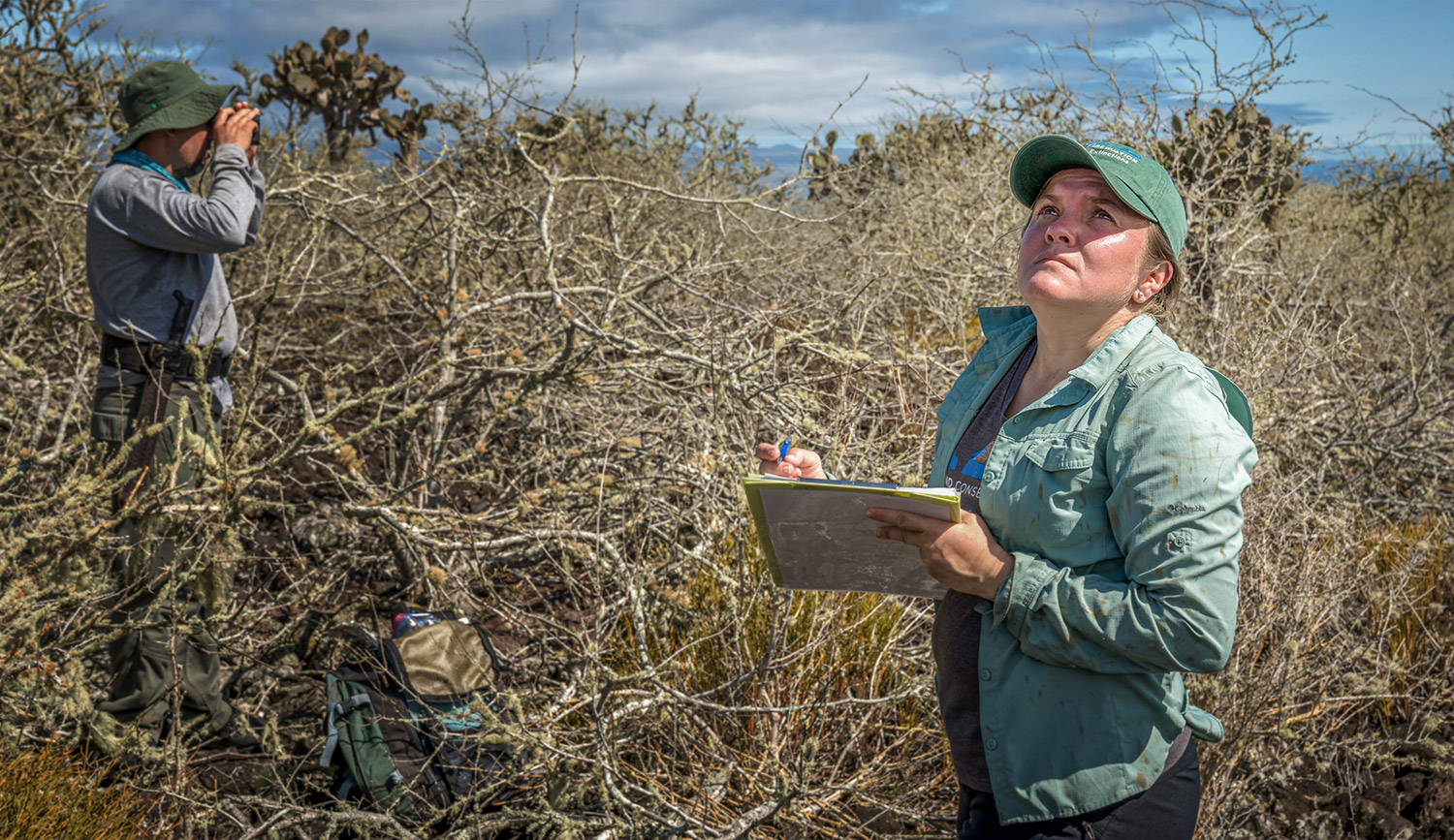 PRESS RELEASE: Locally extinct birds and geckos reappear on Pinzón and ...