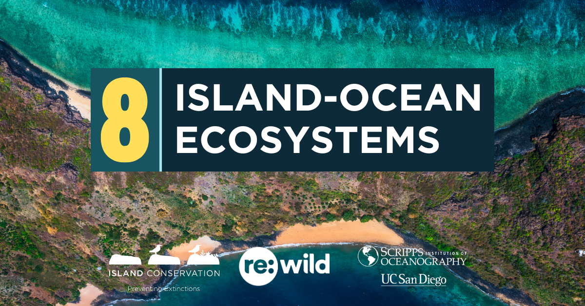 Island Conservation PRESS RELEASE: First Eight Island-Ocean Ecosystems ...
