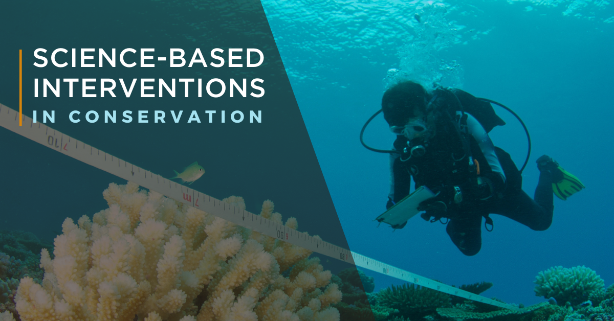 Island Conservation What are “science-based” interventions anyway ...