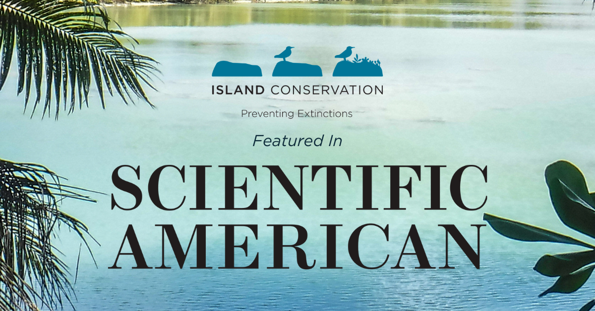 Island Conservation Scientific American covers Island Conservation’s ...
