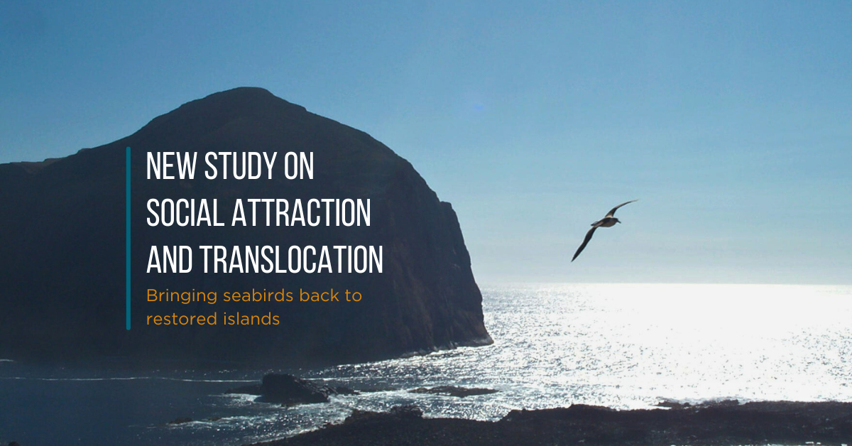 Island Conservation New paper shows the power of rewilding islands ...