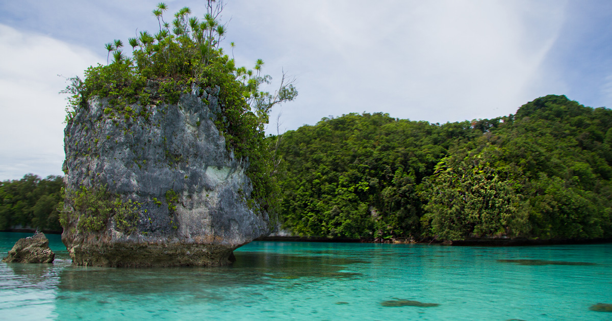 Island Conservation Conservation and Ecosystem Recovery on Ngeanges ...