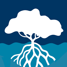 9 Awesome Environmental Blogs to Follow in 2024 - Island Conservation