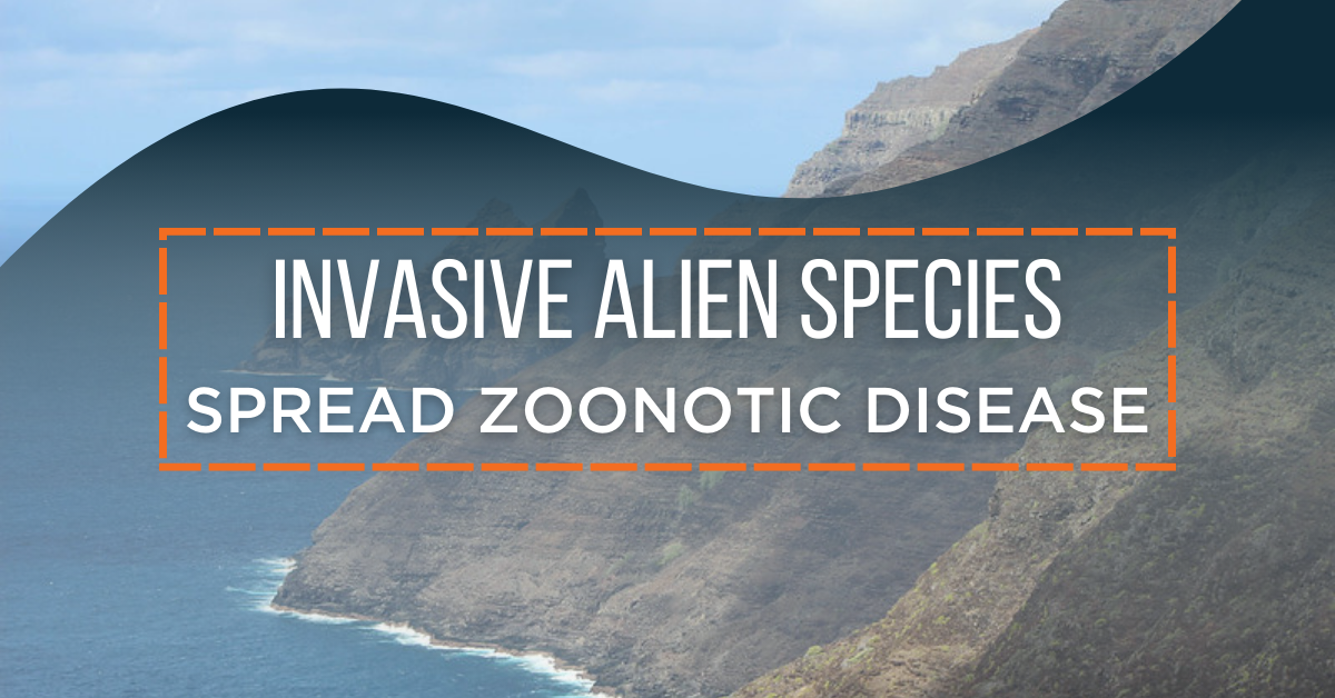 Island Conservation Invasive Species Spread Zoonotic Disease - Island ...