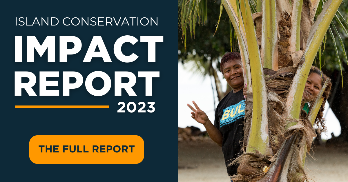 Island Conservation Our 2023 Impact Report is Live - Island Conservation