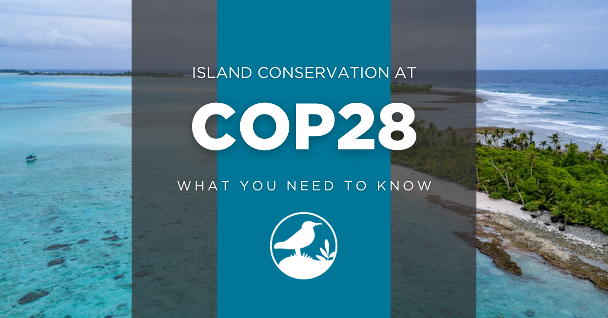 Island Conservation Island Conservation at COP28: What You Need to Know
