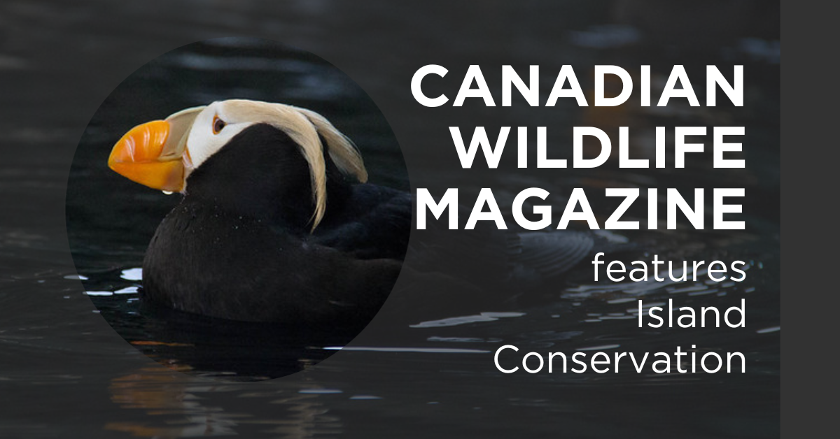 Island Conservation Canada Wildlife Magazine Features Island ...