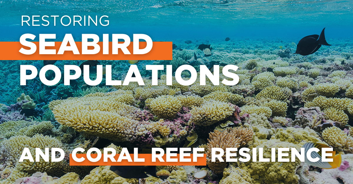 Island Conservation Restoring Seabird Populations and Coral Reef ...