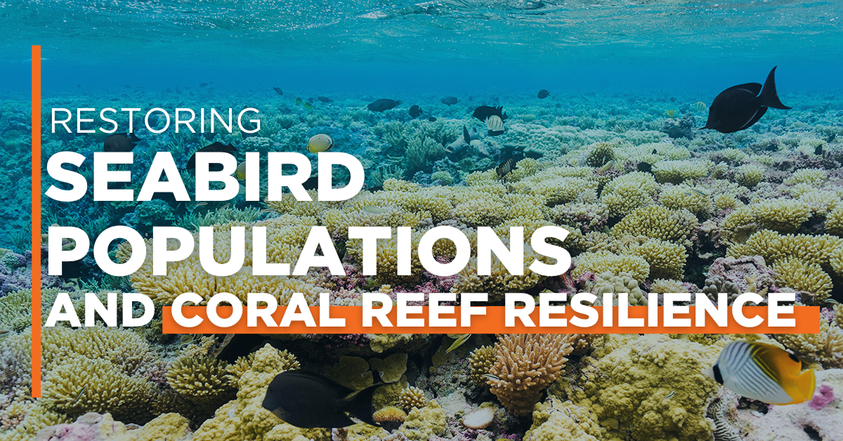 Island Conservation Restoring Seabird Populations and Coral Reef ...