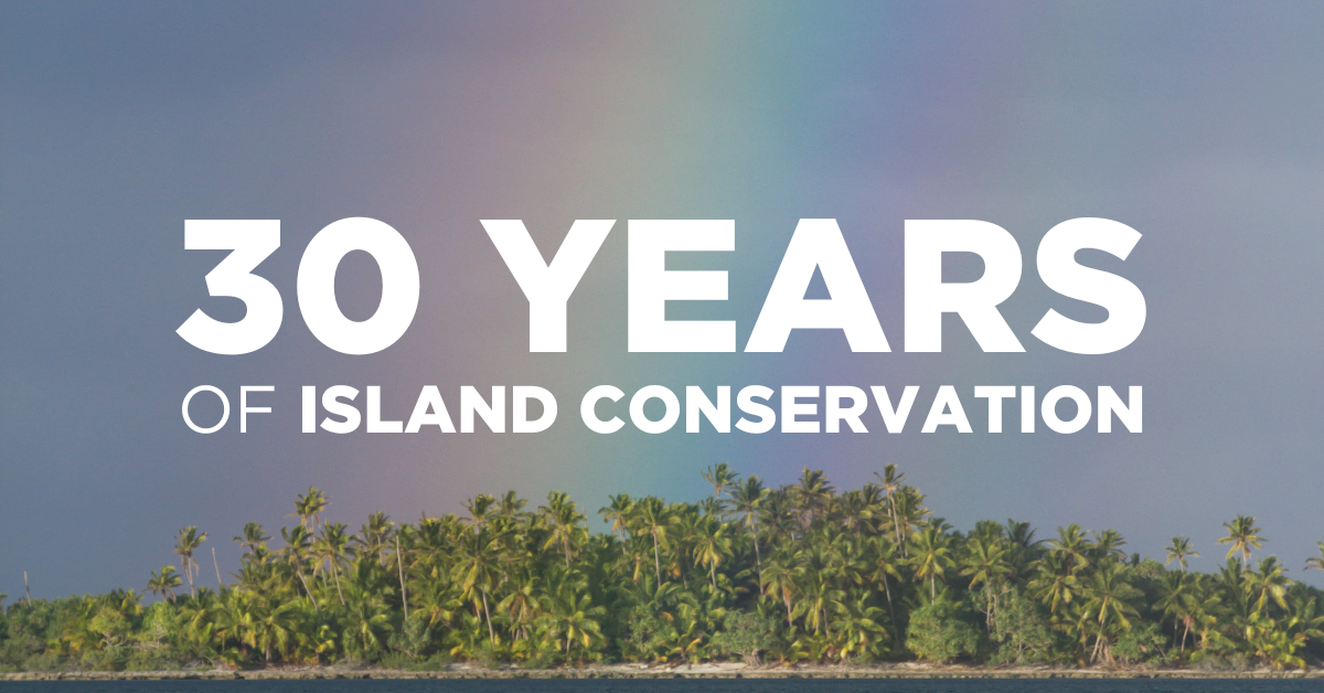 Island Conservation Thirty, Birdy and Thriving - Island Conservation