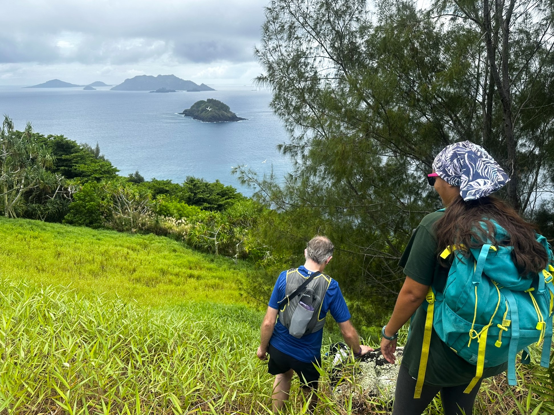 Social Attraction on Kamaka: Notes from the Field - Island Conservation
