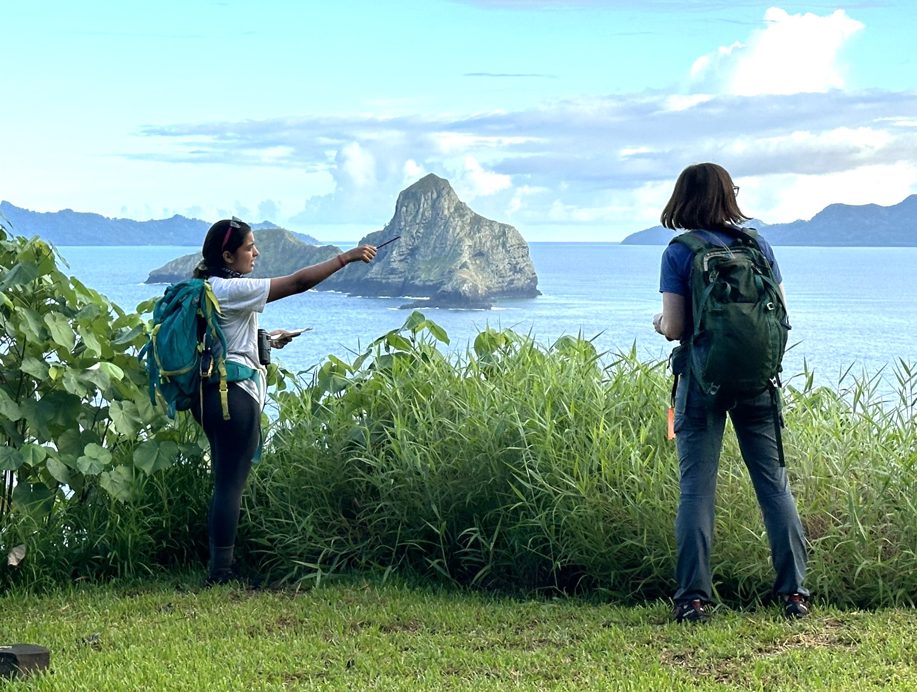 Social Attraction on Kamaka: Notes from the Field - Island Conservation