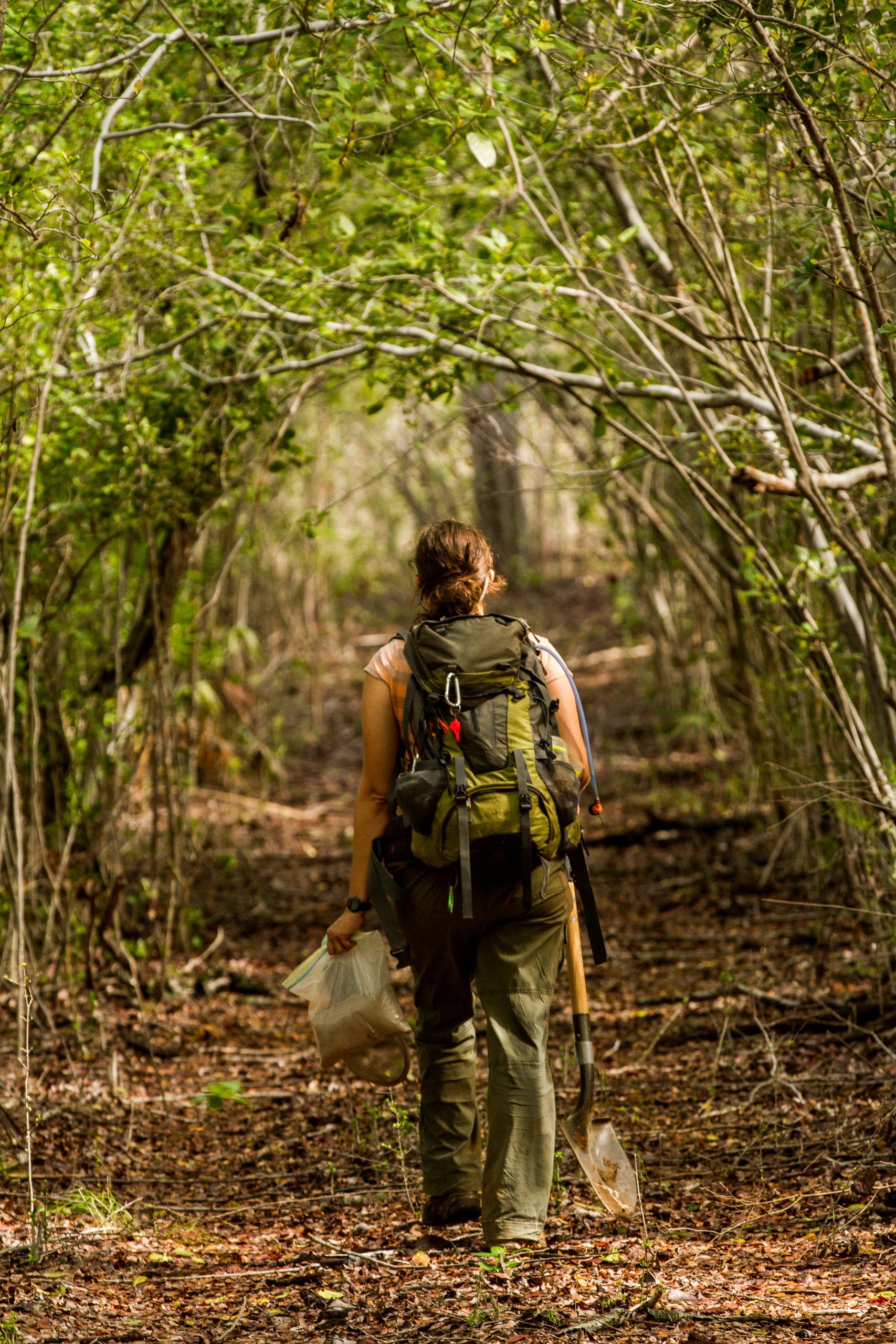 Island Conservation Strategic Vision - Island Conservation