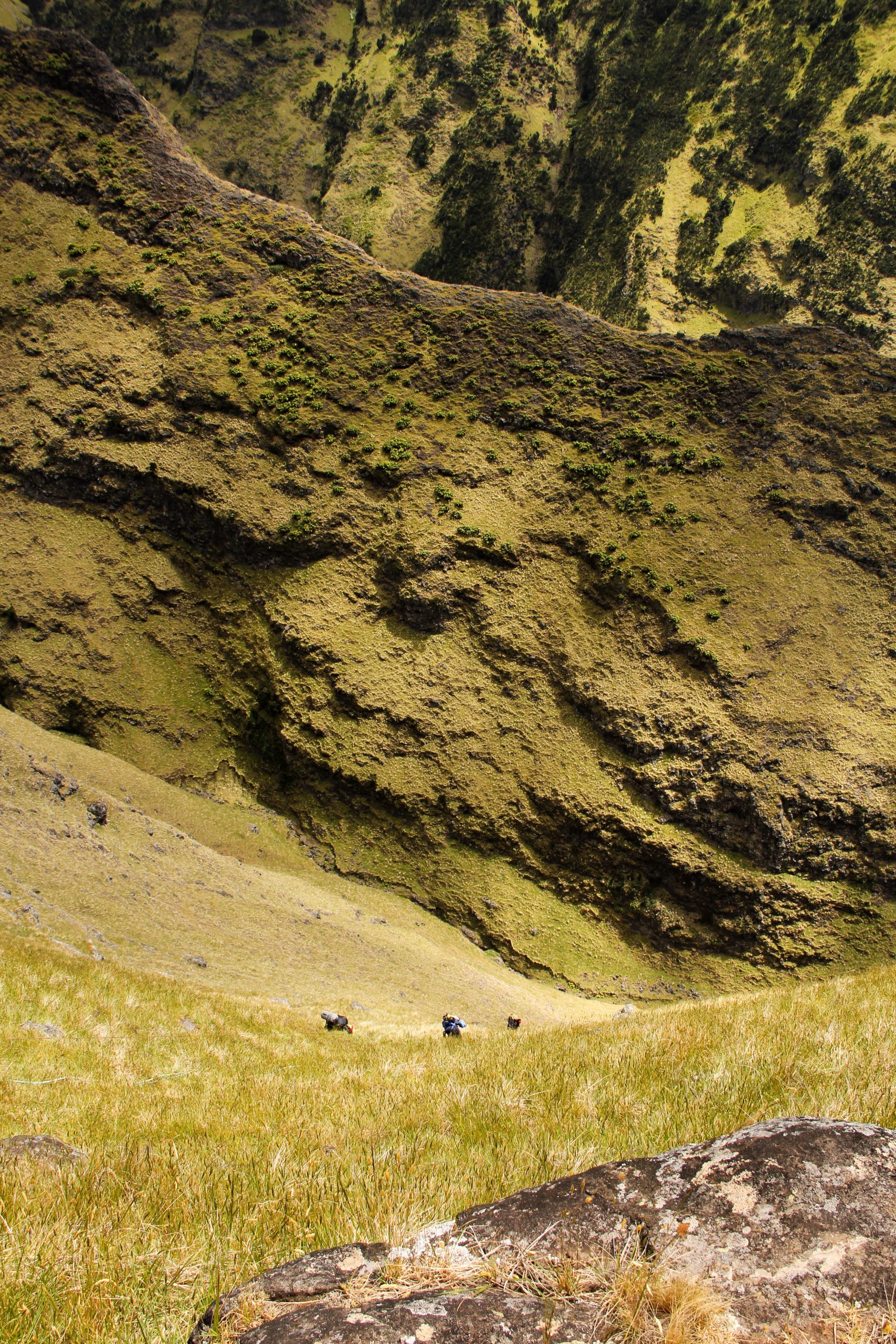 Island Conservation Strategic Vision - Island Conservation