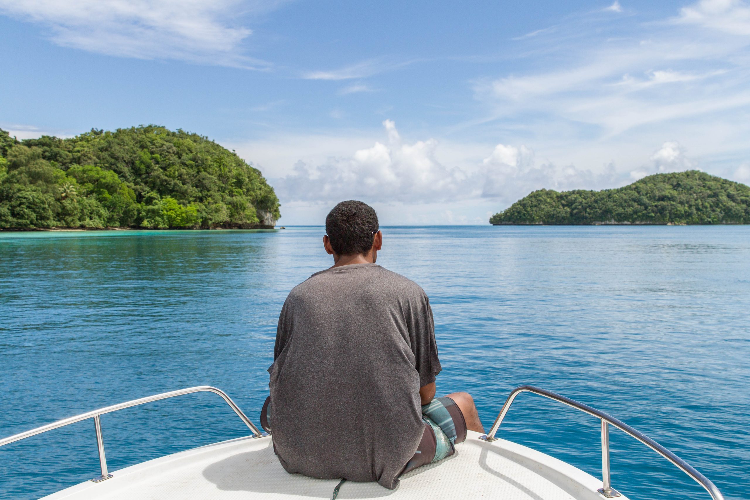 Island Conservation Strategic Vision - Island Conservation