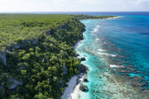 Biodiversity on Island Biomes - Island Conservation