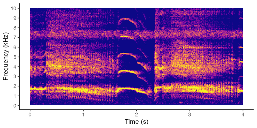 Remote Sensing on Islands: Seeing Ecosystems Through Data - Island ...